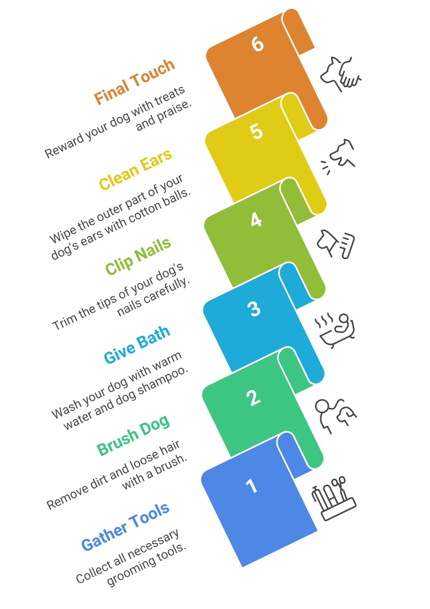 How to Groom a Dog at Home – Step-by-Step Guide