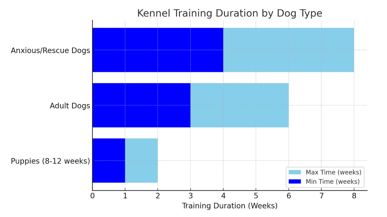 What is Kennel Training? How to Kennel Train Dogs of Any Age